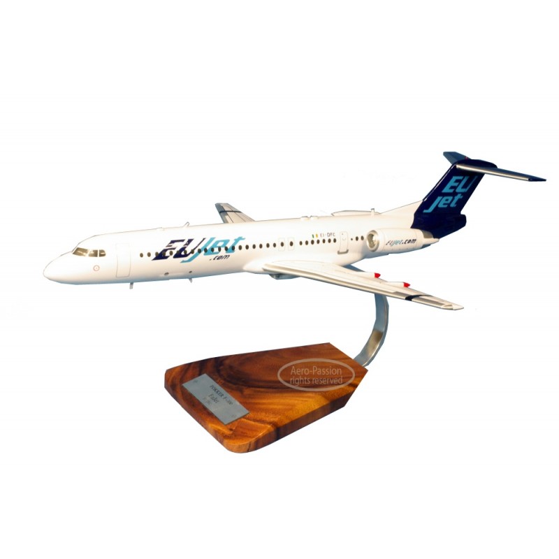 Fokker 100 - large size model, hand painted decoration - AERO-PASSION