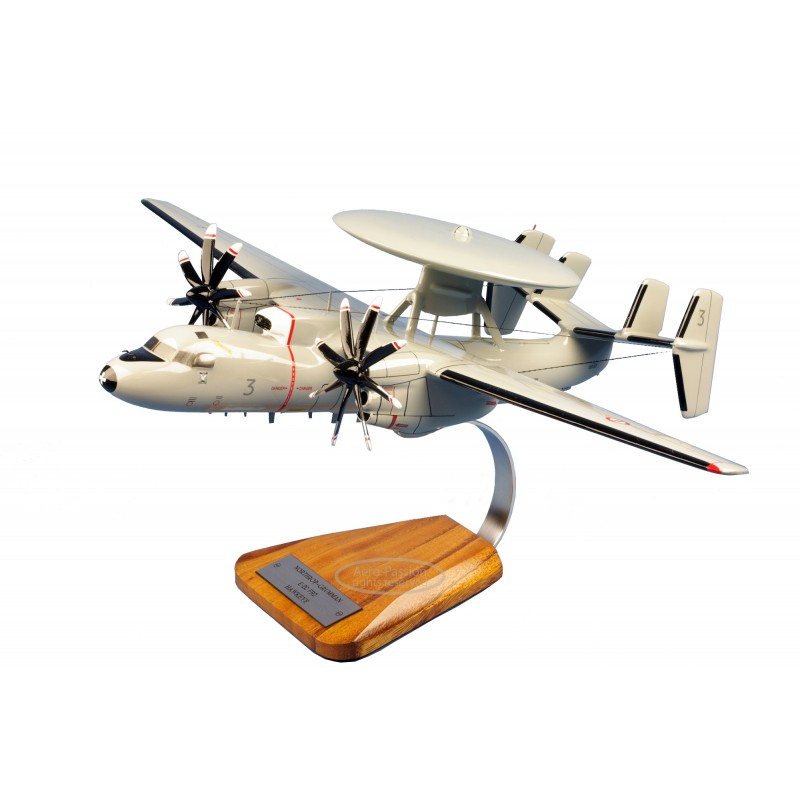 E-2C Hawkeye II - large size model, hand painted decoration - AERO-PASSION